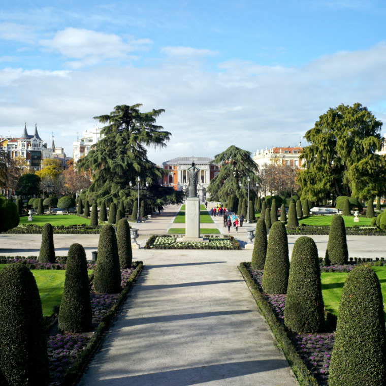 El Parterre del Retiro | Paisaje de la Luz