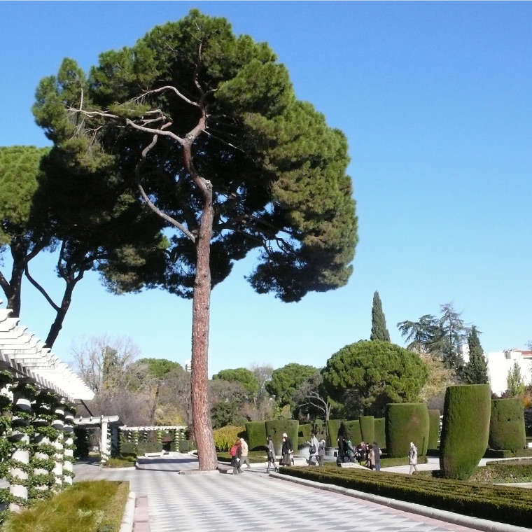 Jardines de Cecilio Rodríguez | Landscape of Light