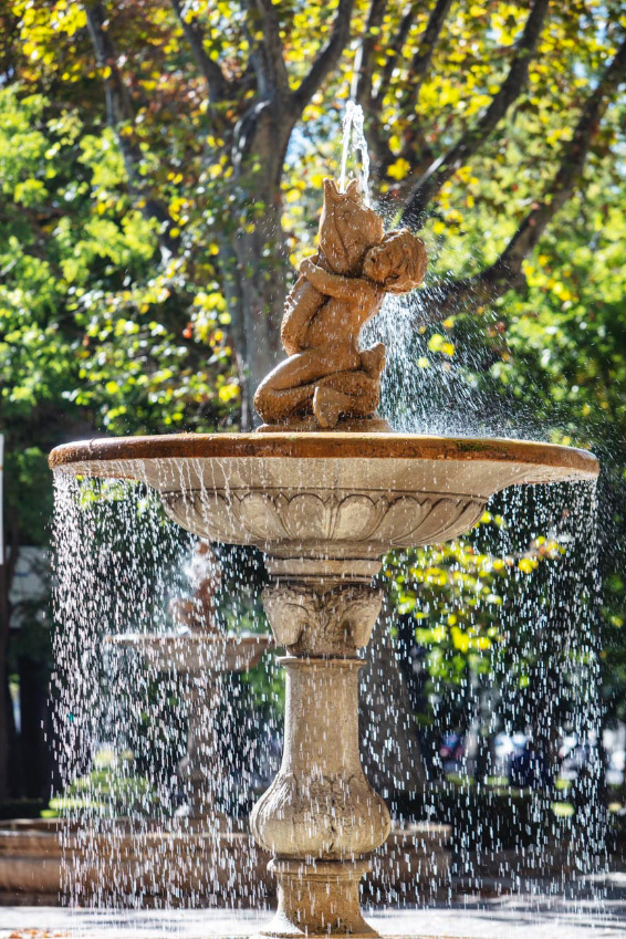 Las Cuatro Fuentes | Paisaje de la Luz