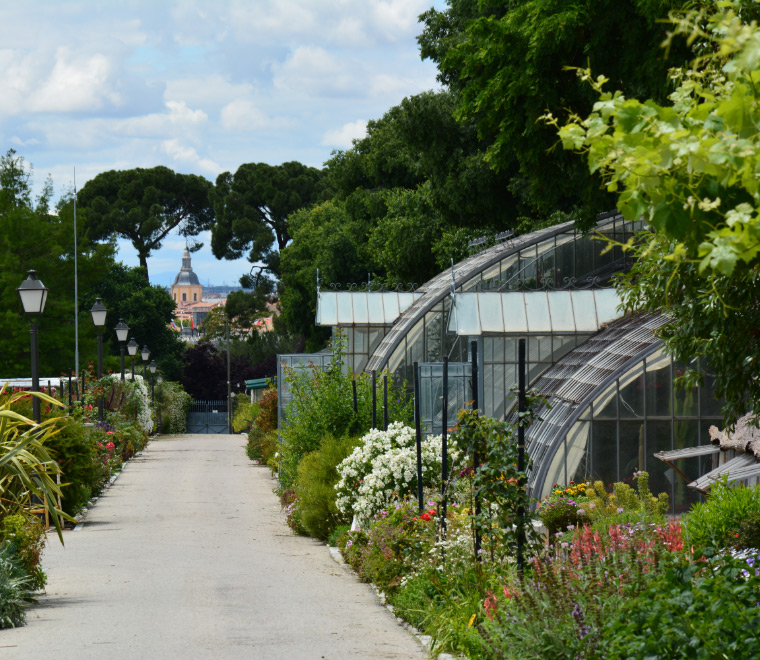 Vivero de Estufas de El Retiro | Paisaje de la Luz